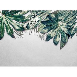Livingwalls living walls Fototapete &raquo;Designwalls Leaves Variety 2&laquo; glatt Vlies, Wand, Schr&auml;ge, Decke gr&uuml;n Vlies B/L: 3,5m x 2,55m