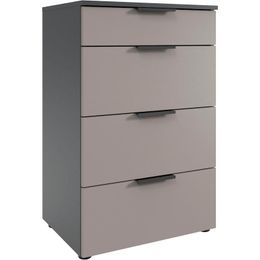 wimex Schubkastenkommode &raquo;Oxford by fresh to go, mit 4 Schubladen, MADE IN GERMANY&laquo; 54cm breit,41cm tief, 84cm hoch, Mit Soft-close Beschl&auml;gen, in 