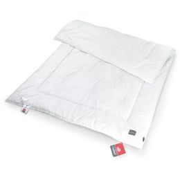 Stendebach Kunstfaserbettdecke &raquo;Climacozy Bettdecke, Allergiker geeignet (Hausstauballergiker)&laquo; normal F&uuml;llung 100% Polyester 1 Stk. tlg. Bettdecke in 135x200 