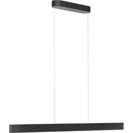 Neuhaus Q DESIGN CONTROL LIGHTS LED Pendelleuchte &raquo;Q-STRETTO&laquo; LED-Board 1 Stk. warmwei&szlig; - kaltwei&szlig; 1, 1 Stk.