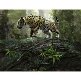 papermoon Fototapete &raquo;Jaguar on the Prowl&laquo; glatt bunt Vlies B/L: 3m x 2,23m, Bahnen: 6 Stk.