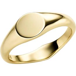 Firetti Siegelring &raquo;Schmuck Geschenk Silber 925 Fingerring Ring&laquo; Exklusiv bei uns gold 64, Silber 925 (Sterlingsilber), 3mm
