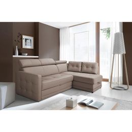 exxpo - sofa fashion Ecksofa &raquo;Arles, Federkern, zeitlos, Breite 225cm, L-Form&laquo; wahlweise mit Bettfunktion und Bettkasten, inkl. Kopfteilverstellung 