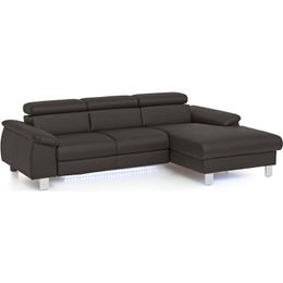 COTTA Ecksofa &raquo;Komaris L-Form, B: 244 cm&laquo; mit Kopfteilverstellung, optional Schlaffunktion, Bettkasten & Licht braun Microfaser PRIMABELLE (100% 