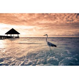 papermoon Fototapete &raquo;Flamingo Tropical Beach&laquo; bunt Vlies B/L: 3m x 2,2m, Rollen: 1