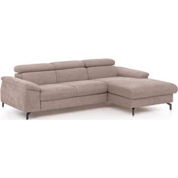 COTTA Ecksofa &raquo;Kitty L-Form, B: 242 cm&laquo; mit Kopfteilverstellung, optional Schlaffunktion & Bettkasten Microfaser (100% Polyester);Flachgewebe (100% 
