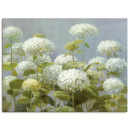 Artland Wandbild &raquo;Wei&szlig;er Hortensien Garten&laquo; Blumen 1 Stk. tlg. als Leinwandbild, Poster in verschied. Gr&ouml;&szlig;en wei&szlig; Leinwand B/H/T: 120cm x 90cm, Leinwandbild 