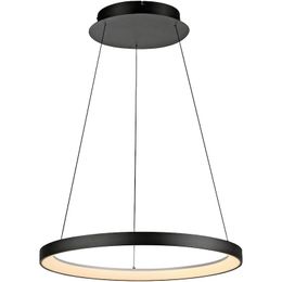 Paul Neuhaus Pendelleuchte &raquo;HOOP&laquo; LED-Board 1 Stk. Warmwei&szlig; LED, dimmbar, Simply Dim, Memory, nach Trennung vom Netz, Comfort Lift schwarz 1, &Oslash; 57cm H: 4cm, 1 Stk.