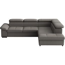 Sit & More sit&more Ecksofa &raquo;Viola, L-Form, Leder, B: 249 cm&laquo; optional mit Schlaffunktion grau B/H/T: 249cm x 73cm x 226cm, NaturLEDER , Ottomane rechts, ohne 