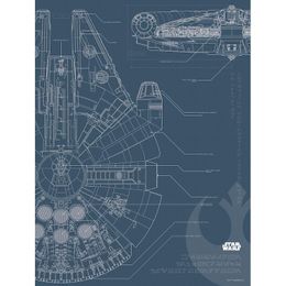 Komar Bild &raquo;Star Wars Blueprint Falcon&laquo; Star Wars 1 Stk. tlg. Wandbild zur Dekoration im Kinderzimmer - ohne Rahmen schwarz-wei&szlig; Holz, Papier B/H/T: 30cm x 