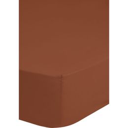 Good Morning Spannbettlaken &raquo;Renforc&eacute; &laquo; 100% Baumwolle, Renforc&eacute;, Rundumgummi, bis 25 cm h&ouml;he, 80x200, Wei&szlig; orange Renforc&eacute;, Obermaterial: 100% 