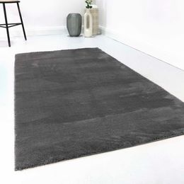Teppich &raquo;Lago&laquo; rechteckig 19 mm H&ouml;he Kurzflor, Uni Farben, ideal im Wohnzimmer & Schlafzimmer grau Polyester B : 120cm 1 Stk., 19mm, L: 170cm