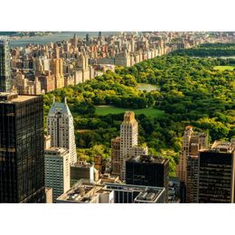 papermoon Fototapete &raquo;Central Park Manhattan&laquo; glatt bunt Vlies B/L: 2m x 1,49m, Bahnen: 4 Stk.