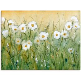 Artland Wandbild &raquo;G&auml;nsebl&uuml;mchenfr&uuml;hling II&laquo; Blumen 1 Stk. tlg. als Alubild, Leinwandbild, Poster in verschied. Gr&ouml;&szlig;en gr&uuml;n B/H/T: 120cm x 90cm, Leinwandbild 