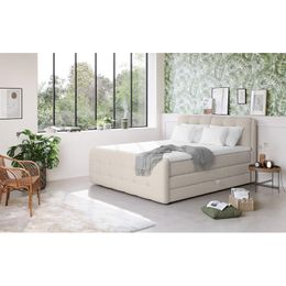 COTTA Boxspringbett &raquo;Fort mit Bettkasten, inkl. Topper&laquo; erh&auml;ltlich in verschiedenen Breiten (160cm, 180cm & 200cm) beige 100% POLYESTER (PES) Struktur