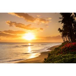 papermoon Fototapete &raquo;Tropical Sunset Kaanapali Beach&laquo; glatt bunt Vlies B/L: 3,5m x 2,6m, Bahnen: 7 Stk.
