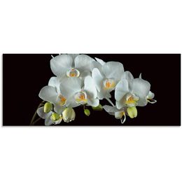 Artland Glasbild &raquo;Wei&szlig;e Orchidee auf schwarzem Hintergrund&laquo; Blumen 1 Stk. tlg. in verschiedenen Gr&ouml;&szlig;en wei&szlig; B/H/T: 125cm x 50cm, Glasbild Blumen, 1 Stk.