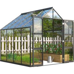 Vitavia Gew&auml;chshaus &raquo;Domus 6700&laquo; Doppelschwingt&uuml;ren und bodentiefer T&uuml;rschwelle, 3 mm Sicherheitsglas schwarz B/H/T: 257cm x 253,9cm x 263cm