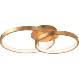 NOVA LUCE LED Deckenleuchte &raquo;LEON&laquo; LED-Modul 1 Stk. Warmwei&szlig; gold 2, H: 14cm, 1 Stk.