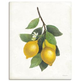 Artland Wandbild &raquo;Lemon Branch III&laquo; Pflanzenbilder 1 Stk. tlg. als Alubild, Leinwandbild, Poster, Wandaufkleber in verschied. Gr&ouml;&szlig;en gelb Leinwand B/H/T: 60cm