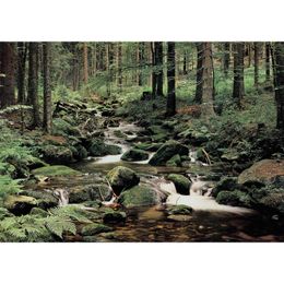 papermoon Fototapete &raquo;Nature&laquo; glatt bunt Vlies B/L: 5m x 2,8m, Bahnen: 10 Stk.