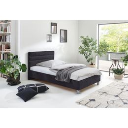 Westfalia Schlafkomfort Polsterbett schwarz Bezug: Microvelours (100% Polyester);Bonnell-Federkern-Matratzenbezug: 100% Polyester;Kaltschaum-Matratzenbezug: Frottee 100% 