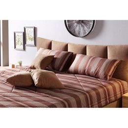 Westfalia Schlafkomfort Dekokissen 5-teilig braun Polyester B/L: 40cm x 40cm, 5 Stk.