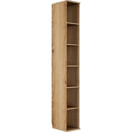 B&uuml;cherregal &raquo;Enzo&laquo; 1 Stk. tlg. Verschiedene Module einfach zu kombinieren braun Holzwerkstoff B/H/T: 33cm x 235cm x 45cm, 6 Stk. offene F&auml;cher