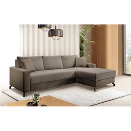 exxpo - sofa fashion Ecksofa &raquo;Quattro schlicht & zeitlos, bequem, L-Form, B/T: 247/162 cm&laquo; wahlw. Bettfunktion, Bettkasten. Korpus Microfaser, Sitz 