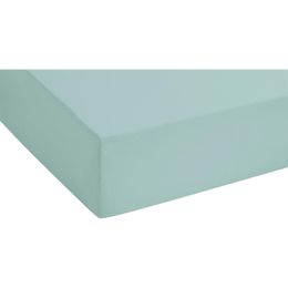 Biberna Spannbettlaken &raquo;GOTS Biber in Gr. 90x200, 140x200 oder 180x200 cm&laquo; aus Bio-Baumwolle, f&uuml;r Matratzen bis 22 cm H&ouml;he, Winter, Bettlaken gr&uuml;n Biber, 
