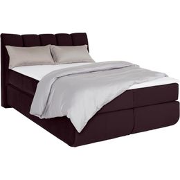 Home Affaire Boxspringbett &raquo;Oc&eacute;ane&laquo; Bodenfrei- wirkt freischwebend, verschiedene H&auml;rtegrade (auch H4) lila Polyester Velour VELVET Polyester Topper 