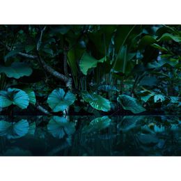 Livingwalls living walls Fototapete &raquo;Designwalls Tropical&laquo; glatt Vlies, Wand, Schr&auml;ge, Decke blau Vlies B/L: 3,5m x 2,55m