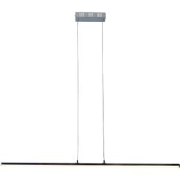 N&auml;ve n&auml;ve LED Pendelleuchte &raquo;Beam&laquo; LED-Board Warmwei&szlig; LED H&auml;ngelampe, dimmbar, incl. Trafo grau 1, H: 1,2cm