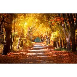 papermoon Fototapete &raquo;Alley in the Autumn Park&laquo; glatt bunt Vlies B/L: 1,5m x 1,11m, Bahnen: 7 Stk.