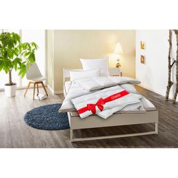 fj&ouml;dur fj&ouml;dur Daunenbettdecke &raquo;Fabian 2f&uuml;r1, Bettdecke f&uuml;r Sommer, Winter, alle W&auml;rmeklassen&laquo; warm F&uuml;llung 60% Daunen & 40% Federn 2 Stk. tlg. Bettdecke in 