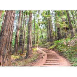 Livingwalls living walls Fototapete &raquo;Designwalls Forest Walk 1&laquo; glatt Vlies, Wand, Schr&auml;ge, Decke gr&uuml;n Vlies B/L: 3,5m x 2,55m