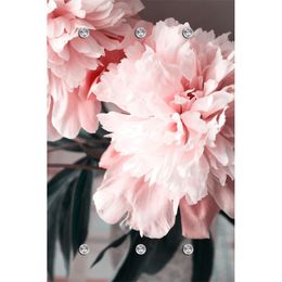 queence Garderobenleiste &raquo;Blume&laquo; mit 6 Haken, 80 x 120 cm rosa Acrylglas, Edelstahl B/H/T: 80cm x 120cm x 5cm