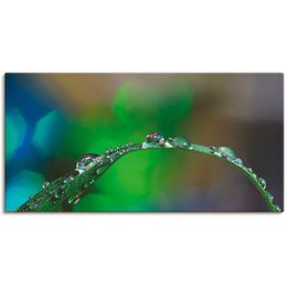Artland Leinwandbild &raquo;Wassertropfen IV&laquo; Gr&auml;ser 1 Stk. tlg. auf Holzrahmen gespannt gr&uuml;n Leinwand B/H/T: 100cm x 50cm, Leinwandbild Gr&auml;ser, 1 Stk.