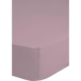 Good Morning Spannbettlaken &raquo;Renforc&eacute; &laquo; 100% Baumwolle, Renforc&eacute;, Rundumgummi, bis 25 cm h&ouml;he, 80x200, Wei&szlig; rosa Renforc&eacute;, Obermaterial: 100% 