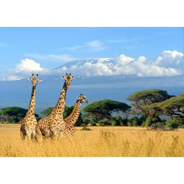 papermoon Fototapete &raquo;Giraffes at Kilimanjaro&laquo; glatt bunt Vlies B/L: 4m x 2,6m, Bahnen: 8 Stk.