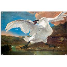 Reinders Poster &raquo;Der bedrohte Schwan&laquo; bunt Leinwand B/H/T: 120cm x 80cm x 0,1cm