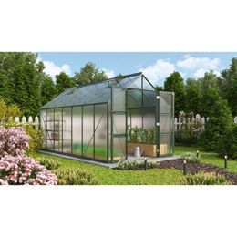 Vitavia Gew&auml;chshaus &raquo;Domus 11500&laquo; mit Doppelschwingt&uuml;ren und bodentiefer T&uuml;rschwelle, 4 mm Hohlkammer gr&uuml;n B/H/T: 257cm x 253,9cm x 449cm