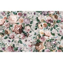 Komar Vliestapete &raquo;Digitaldruck Vlies - Victoria - Gr&ouml;&szlig;e 400 x 260 cm&laquo; bedruckt glatt Wohnzimmer, Schlafzimmer bunt Vlies B/L: 400m x 260m, Rollen: 1