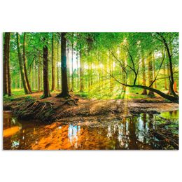 Artland Wandbild &raquo;Wald mit Bach&laquo; Wald 1 Stk. tlg. als Alubild, Leinwandbild, Poster in verschied. Gr&ouml;&szlig;en gr&uuml;n B/H/T: 30cm x 20cm, Alu-Dibond-Druck Wald 