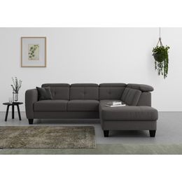 Sit & More sit&more Ecksofa &raquo;Belluci L-Form&laquo; inklusive Federkern, wahlweise mit Schlaffunktion und Bettkasten grau B/H/T: 249cm x 85cm x 195cm, Luxus-Microfaser 