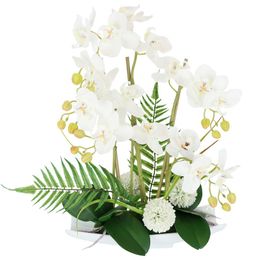 I.GE.A. Kunstblume &raquo;Orchideen&laquo; K&uuml;nstliche Orchidee in Keramik-Schale Blume Kunstorchidee Phalaenopsis wei&szlig; Polyester B/H/L: 35cm x 52cm x 24cm, 1 Stk.