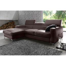 COTTA Ecksofa &raquo;Sammy L-Form&laquo; mit Kopfteilverstellung, wahlweise mit Schlaffunktion braun Microfaser PRIMABELLE (100% Polyester);NaturLEDER in Sitz und