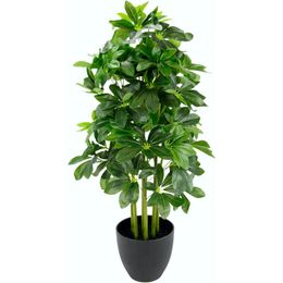I.GE.A. Kunstpflanze &raquo;Schefflerapflanze&laquo; im Kunststofftopf gr&uuml;n Obermaterial: 70% Polyester, 30% Kunststoff B/H/L: 44cm x 83cm, 1 Stk.