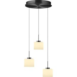 HELL h&ouml;llisch gutes Licht LED Pendelleuchte &raquo;ABBY&laquo; LED-Modul 1 Stk. Warmwei&szlig; B-Link Fernbedienung, Stufenlos h&ouml;henverstellbar 3, &Oslash; 43cm, 1 Stk.