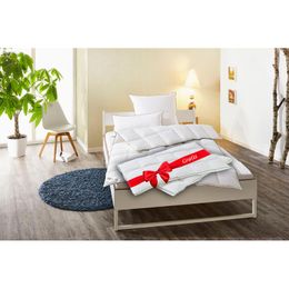 fj&ouml;dur fj&ouml;dur Daunenbettdecke &raquo;Fabian 2f&uuml;r1, Bettdecke f&uuml;r Sommer, Winter, alle W&auml;rmeklassen&laquo; normal F&uuml;llung 60% Daunen & 40% Federn 2 Stk. tlg. Bettdecke in